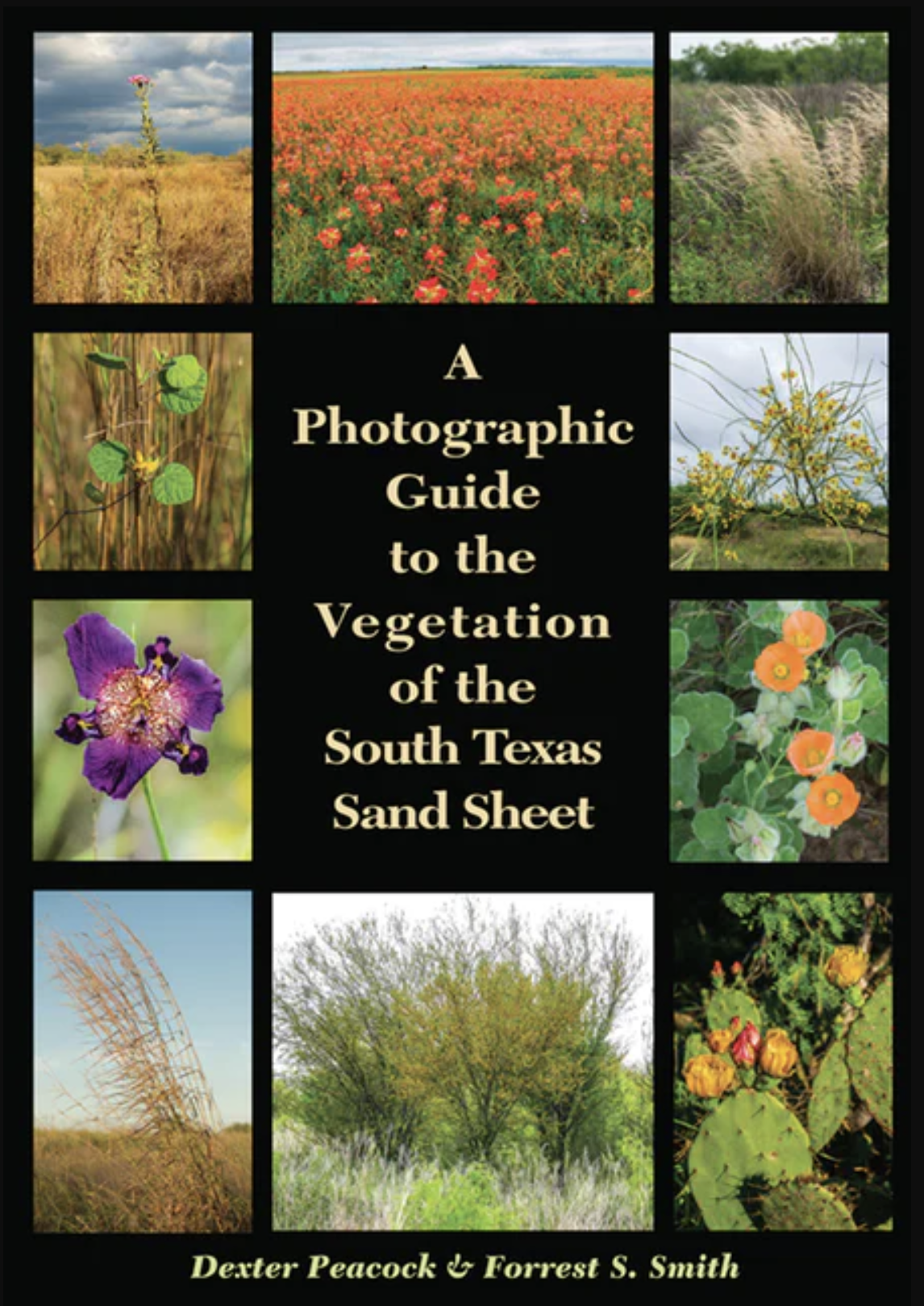 A Photographic Guide to the Vegetation of the South Texas Sand Sheet ...